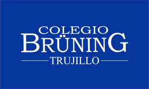 Aula Virtual Brüning